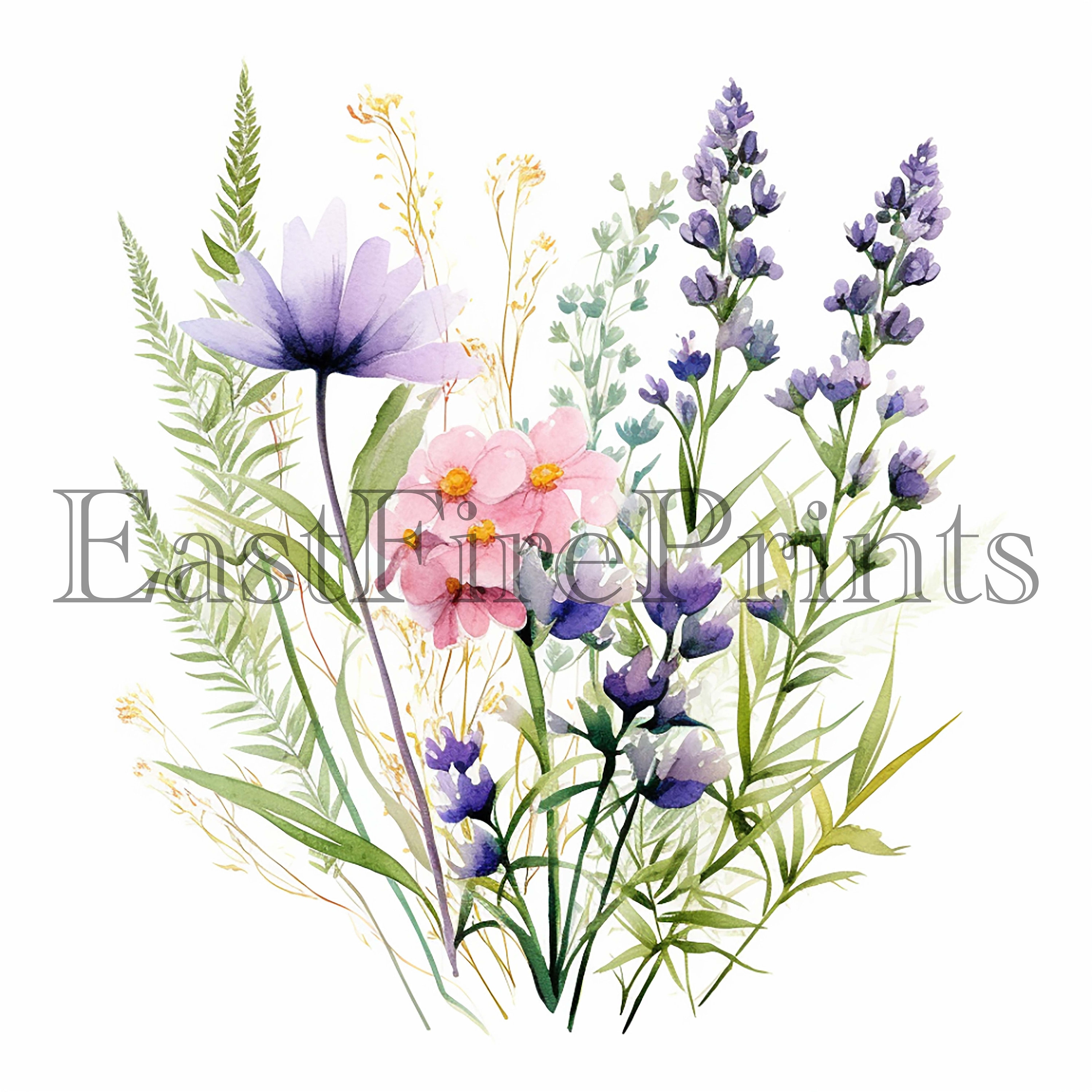 20 Wildflowers Floral Clipart Botanical Clip Art Wild - Etsy