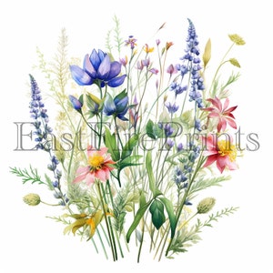 20 Wildflowers Floral Clipart, Botanical Clip Art, Wild Flowers Floral ...