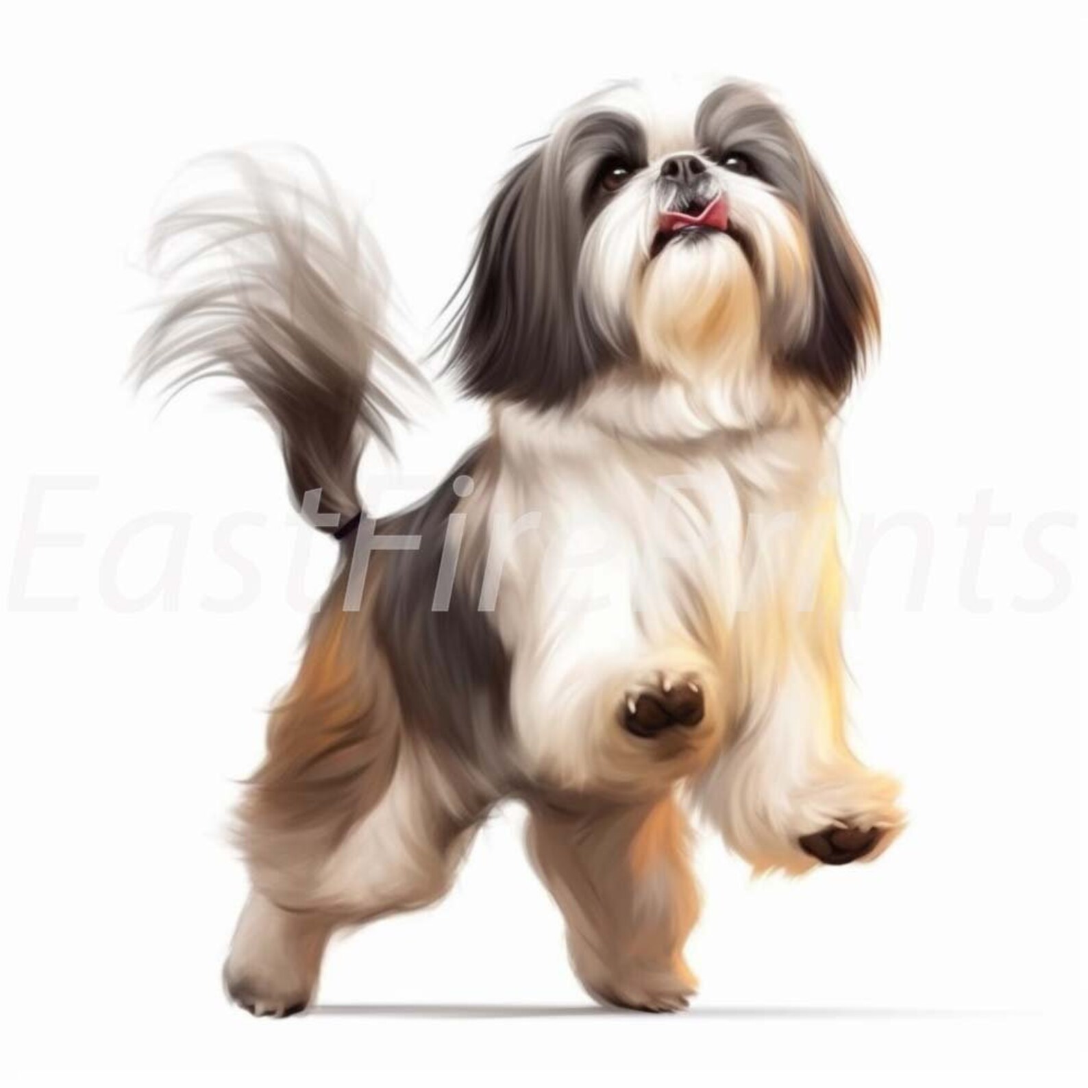 Set of 10 Shih Tzu Clipart Dog Illustrations Card Making - Etsy