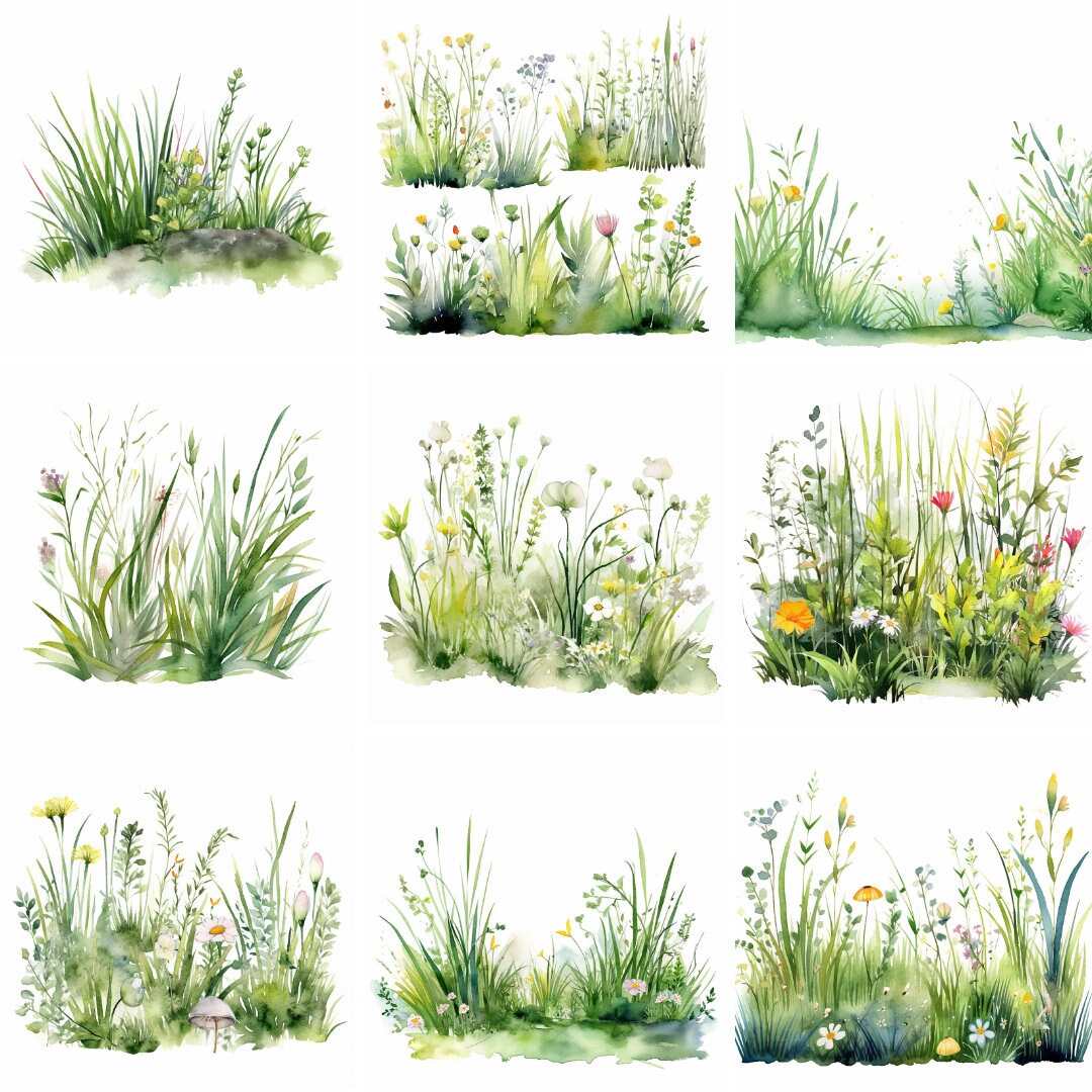 20 Watercolor Spring Grass Clipart Set Grass Illustrations - Etsy