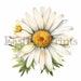 Watercolor Daisies Clipart PNG, Spring Floral Clip Art, Flowers and ...