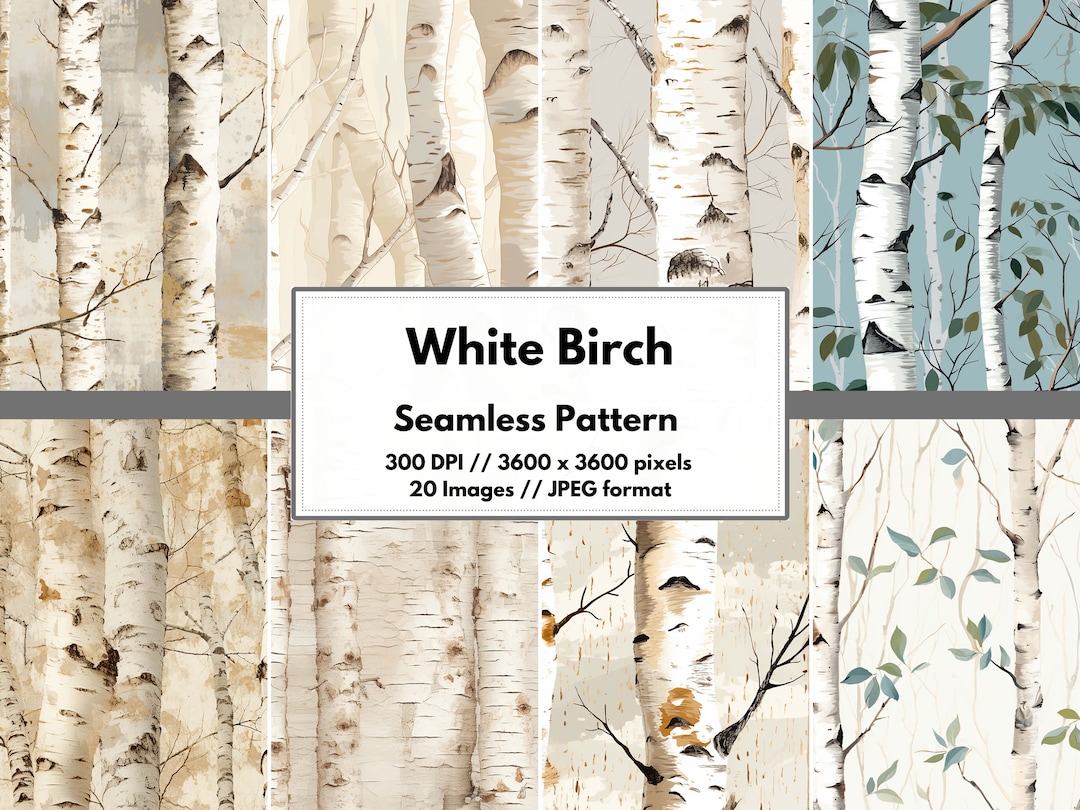 White Birch Bark Digital Paper, High Quality JPG, Birch Tree ...