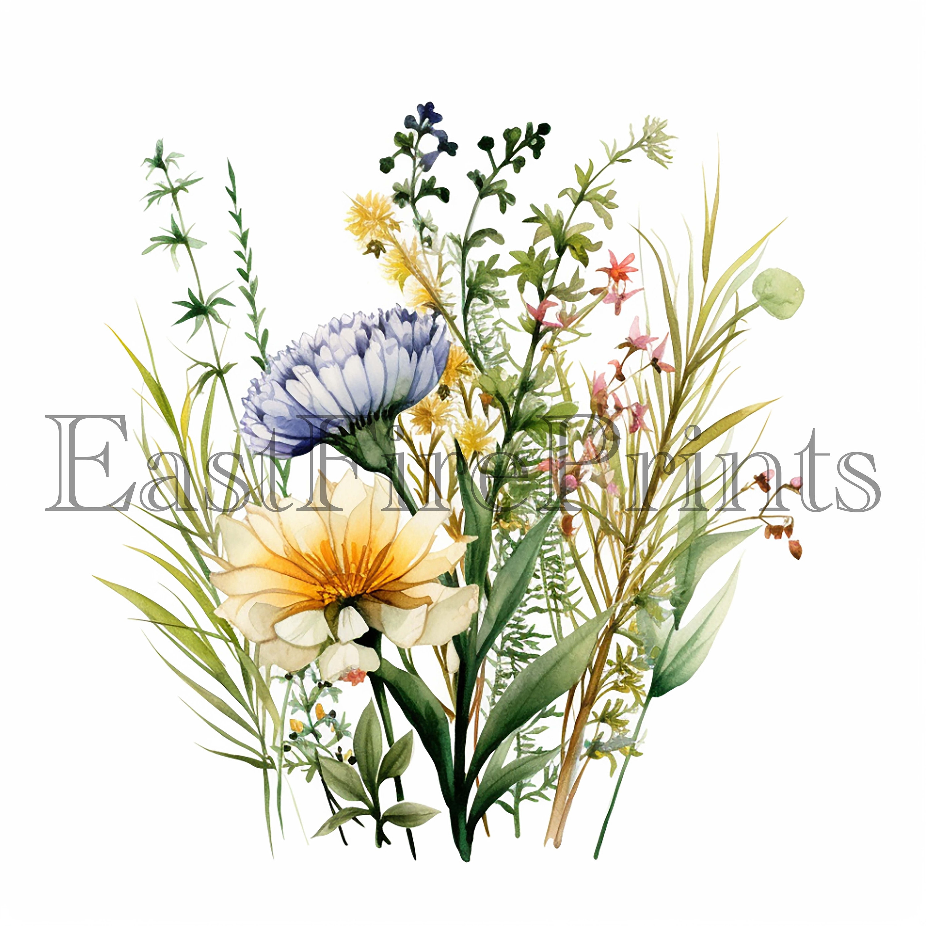 20 Wildflowers Floral Clipart Botanical Clip Art Wild - Etsy