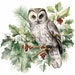 Watercolor Cute Winter Owls Clipart PNG, Christmas and Winter Clip Art ...