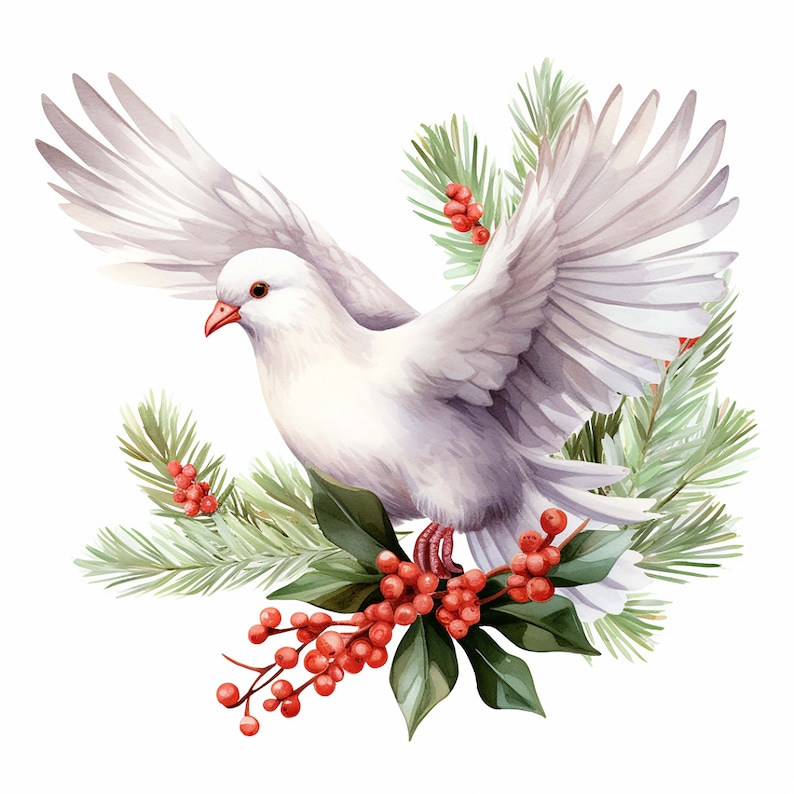 Watercolor Christmas White Dove Clipart Holiday Clipart - Etsy