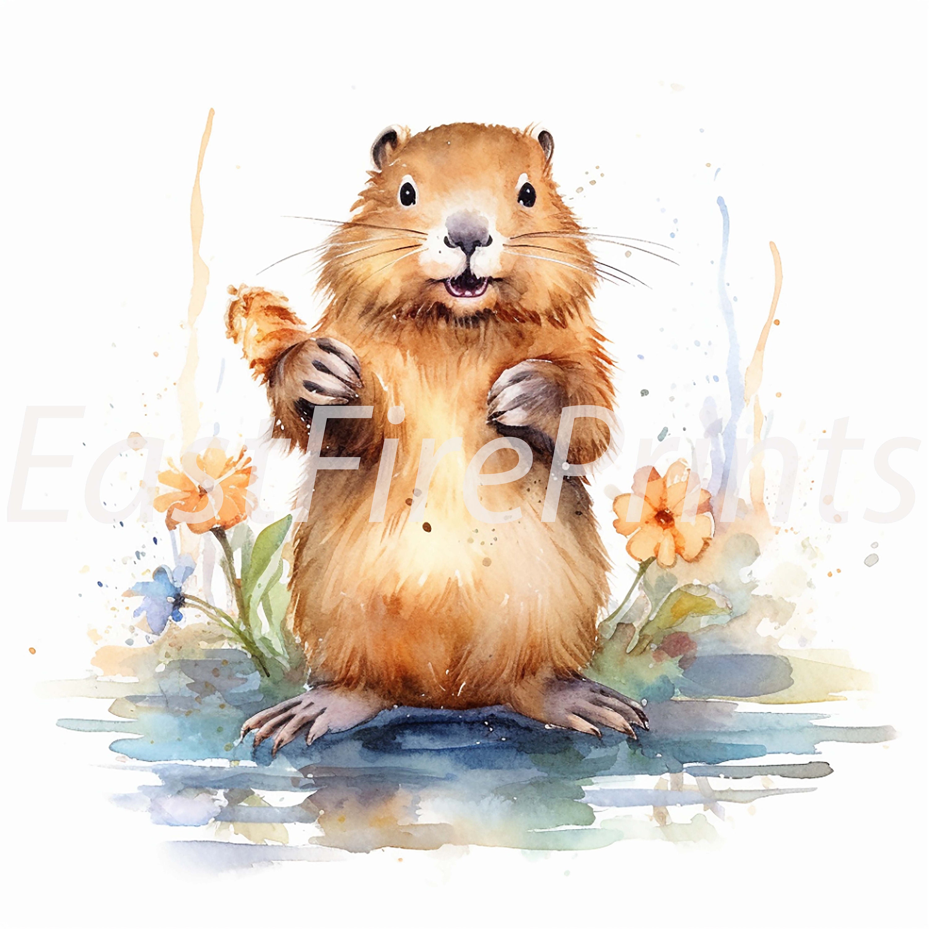 20 Watercolor Beaver Clipart Bundle Wildlife Illustrations - Etsy