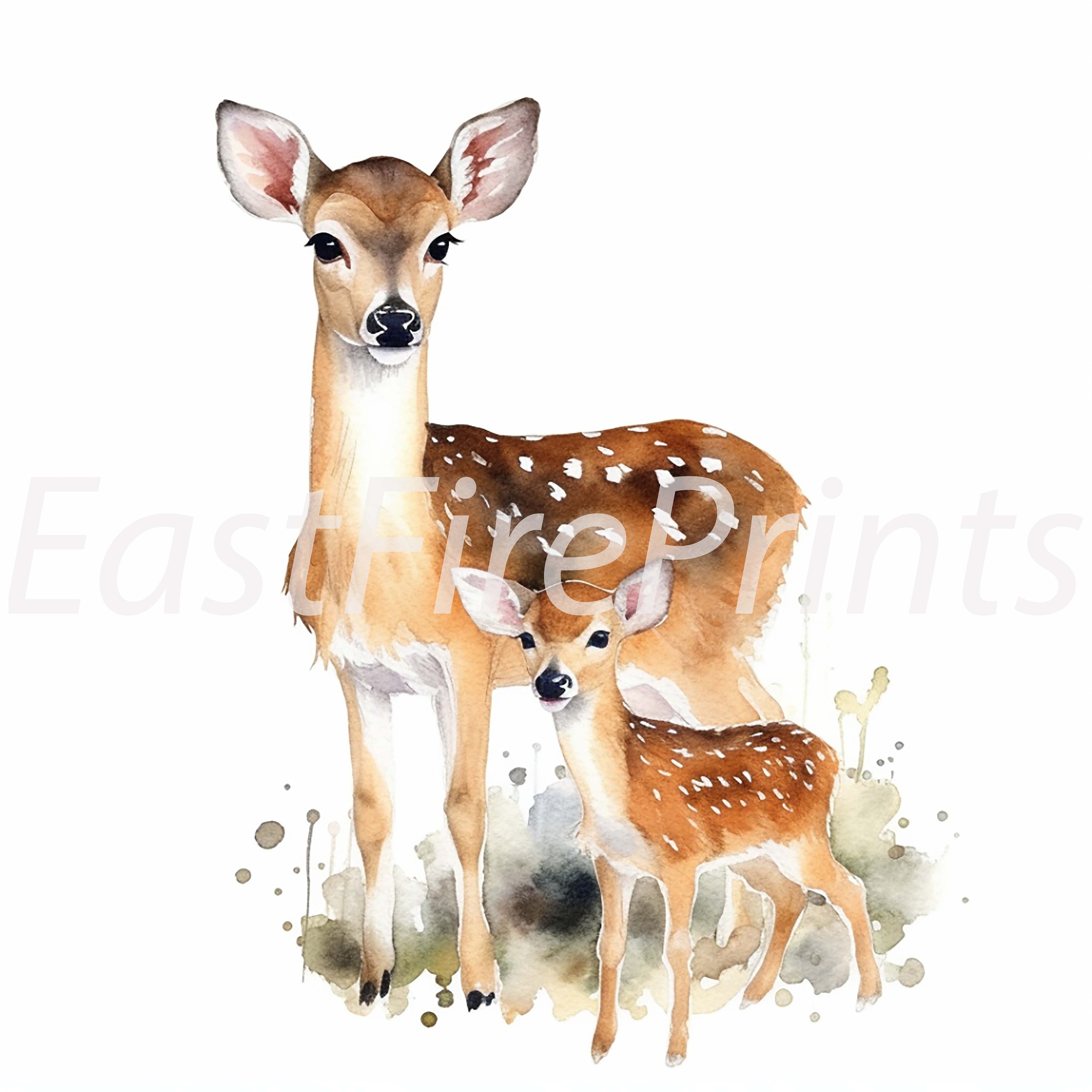 20 Watercolor Deer Clipart Bundle Little Deer Cute Deer PNG - Etsy