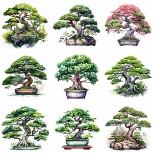 Watercolor Bonsai Tree Clipart, Asian Clipart Tree Sublimation Tree ...