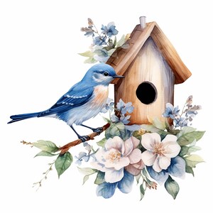Birdhouse Clipart, High Quality PNG, Spring Clipart, Bird Clipart ...