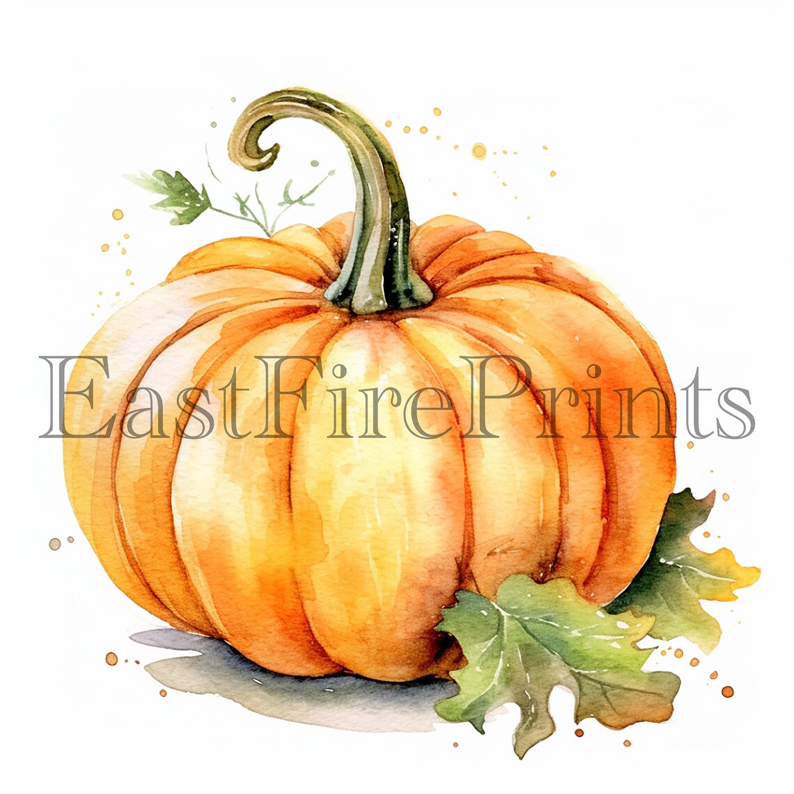 20 PNG Watercolor Pumpkin Clipart Instant Download Fall - Etsy