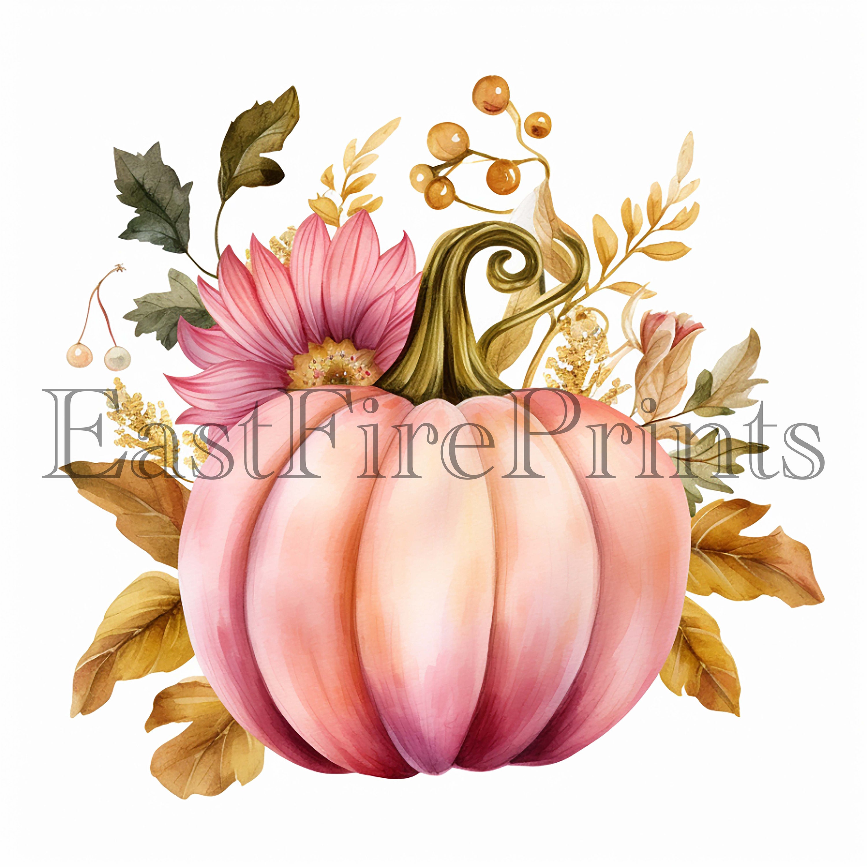 Watercolor Pink Pumpkin Clipart High Quality Png Fall - Etsy