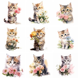 Watercolor Cat and Flower Clipart, High Quality Png, Cute Animal Clip ...
