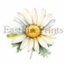 Watercolor Daisies Clipart PNG, Spring Floral Clip Art, Flowers and ...