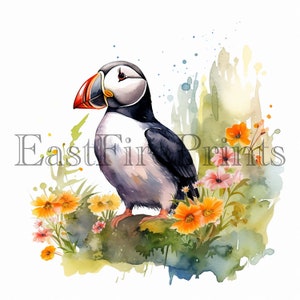 Watercolor Puffin Clipart, High Quality Png, Cute Animal Clip Art ...