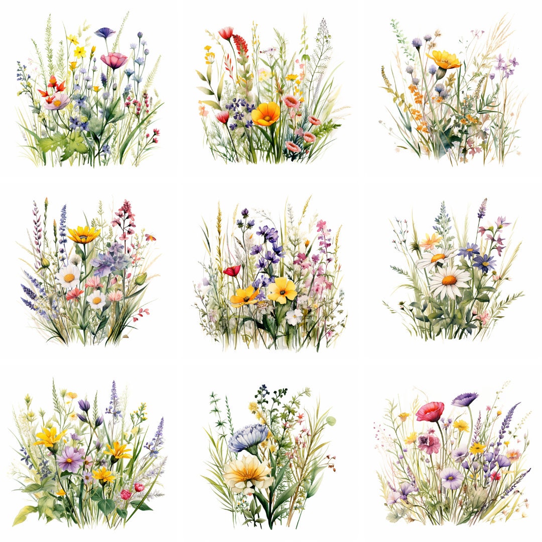 Watercolor Wildflowers Clipart High Quality Png Floral - Etsy