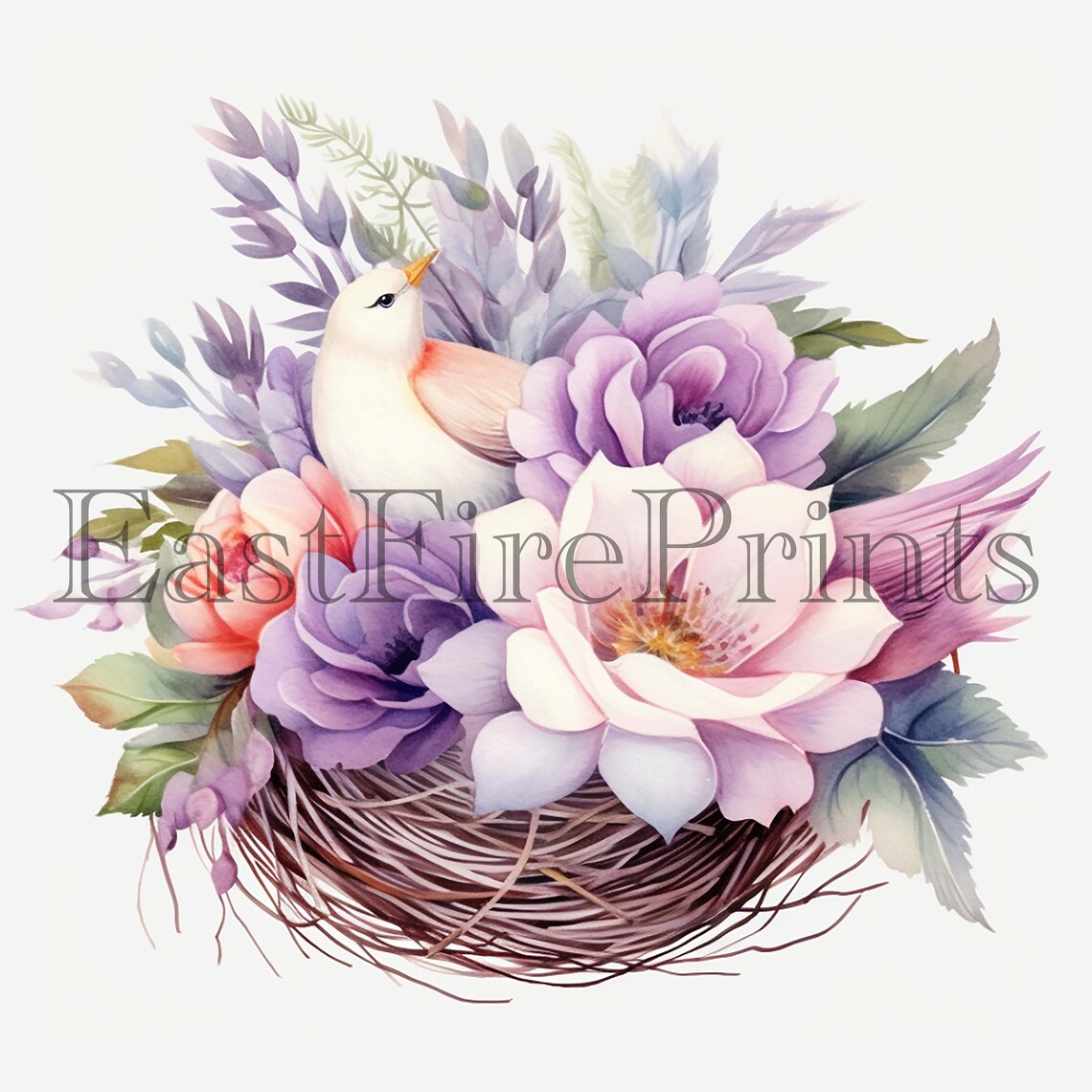 Watercolor Bird Nests Clipart PNG Bird Clip Art Springtime - Etsy