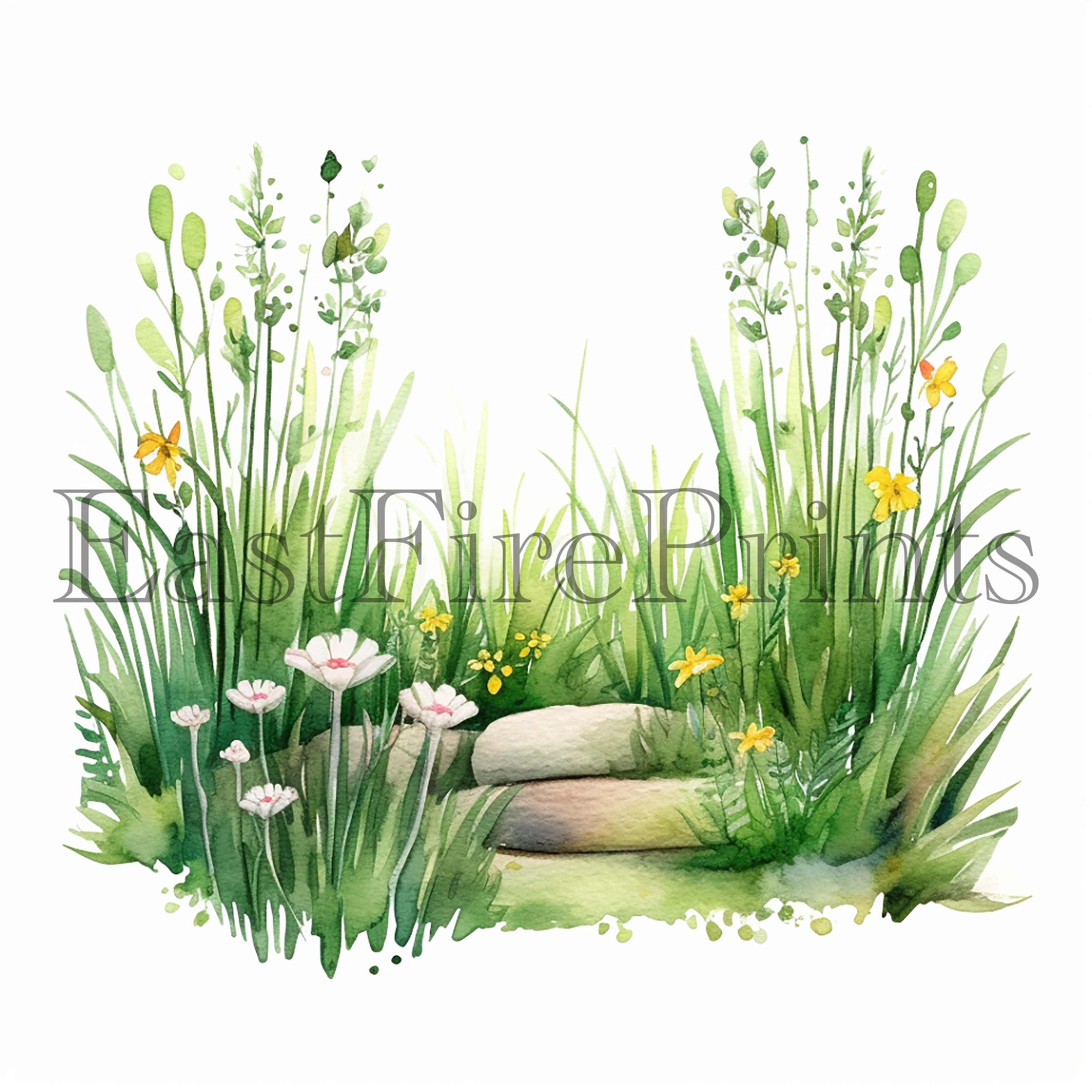 20 Watercolor Spring Grass Clipart Set Grass Illustrations - Etsy