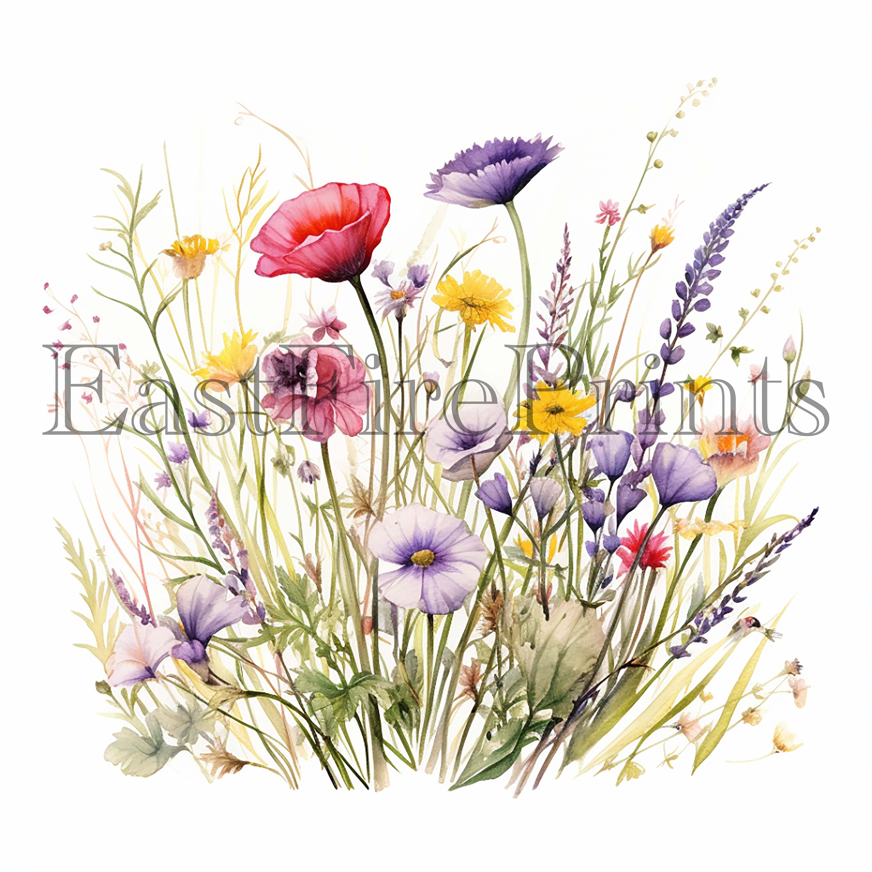 Watercolor Wildflowers Clipart High Quality Png Floral - Etsy