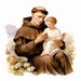 Saint Anthony Clipart, High Quality Png Catholic Sublimation Art ...