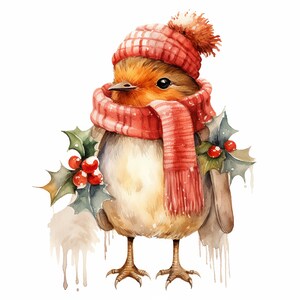 Christmas Robin Clipart, High Quality PNG, Christmas Clipart, Digital ...