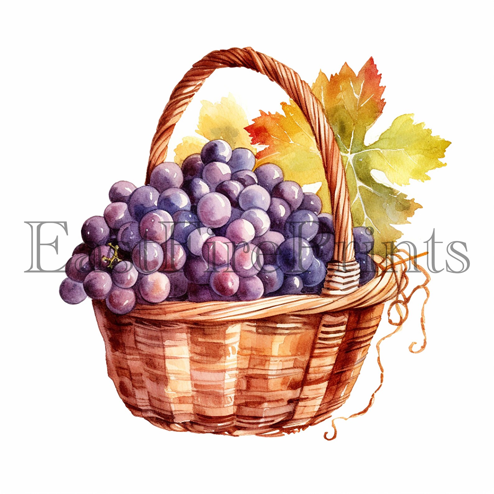 20 PNG Watercolor Grapes Clipart Fruit Clipart Summer - Etsy