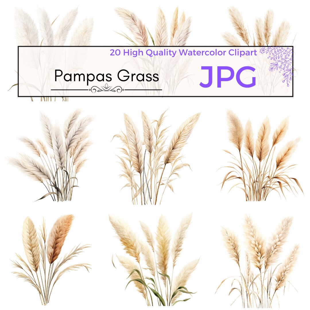 Watercolor Pampas Grass Clipart, Watercolor Boho Clipart Grass Clipart ...