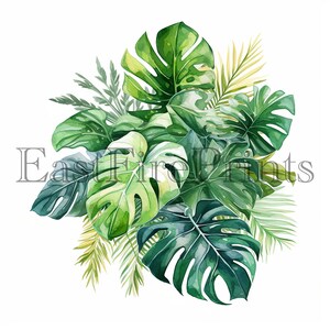 20 Watercolor Monstera Clipart Set - Tropical Leaf PNG - Digital ...