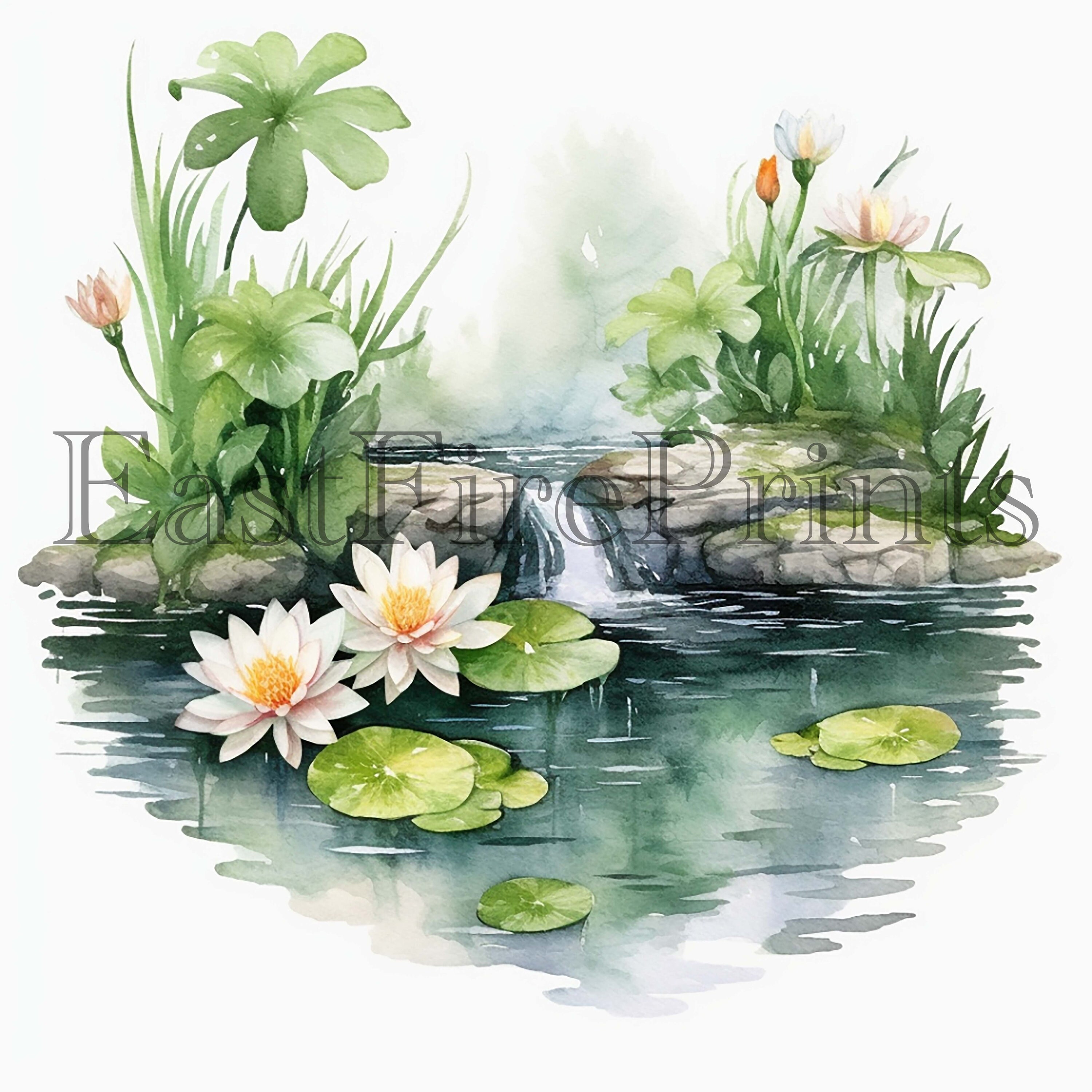 20 Watercolor Lily Pads Clipart PNG Springtime Cute Lily Pad - Etsy