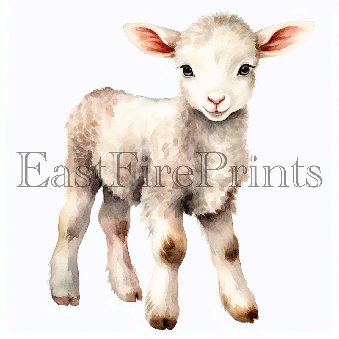 20 Baby Lamb Watercolor Clipart High Quality Png Cute Farm - Etsy
