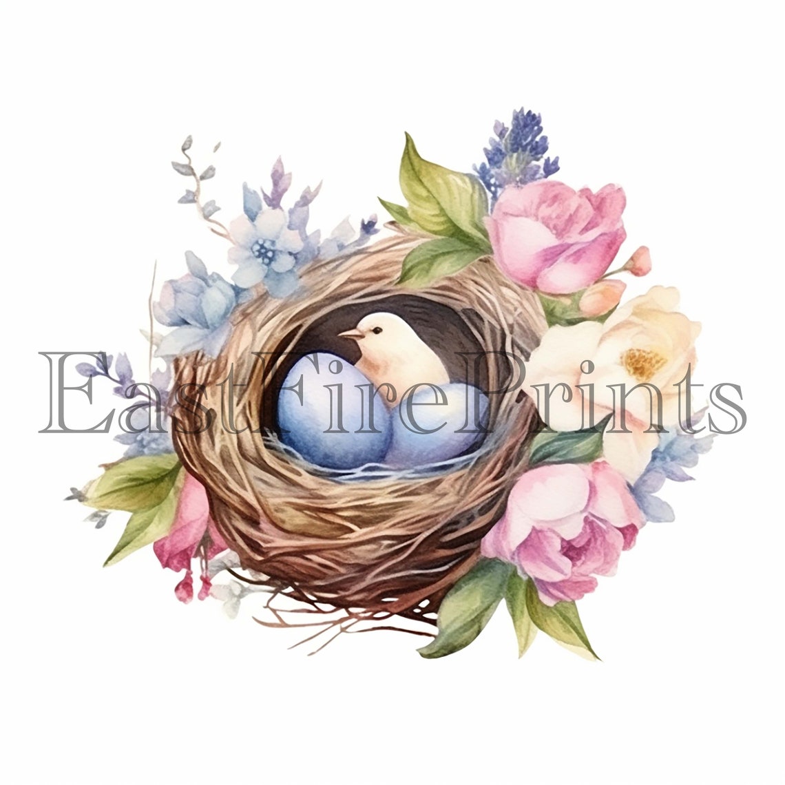 Watercolor Bird Nests Clipart PNG Bird Clip Art Springtime - Etsy