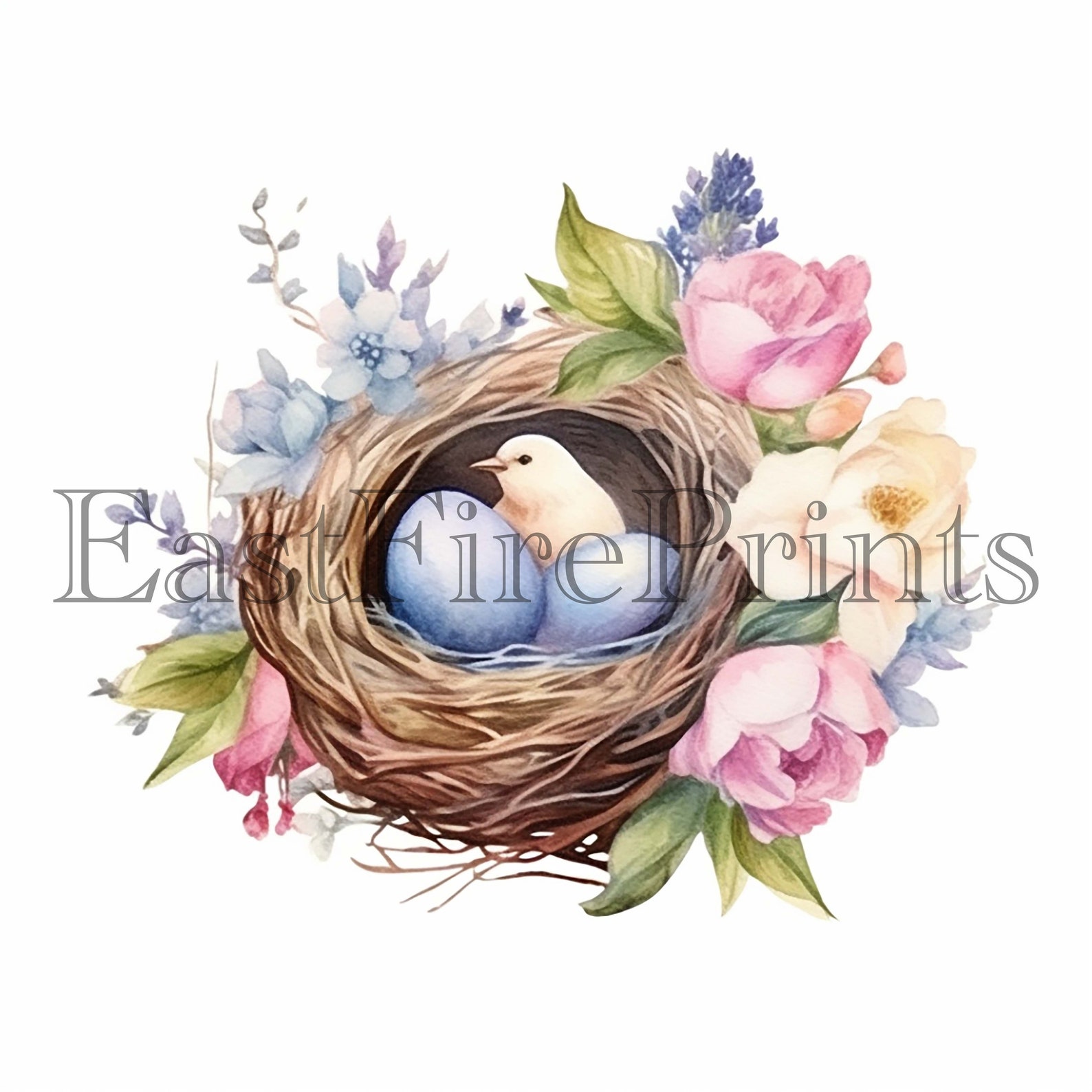 Watercolor Bird Nests Clipart PNG Bird Clip Art Springtime - Etsy