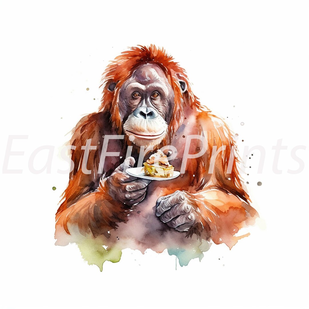 20 Watercolor Orangutan Clip Art Bundle Primate - Etsy