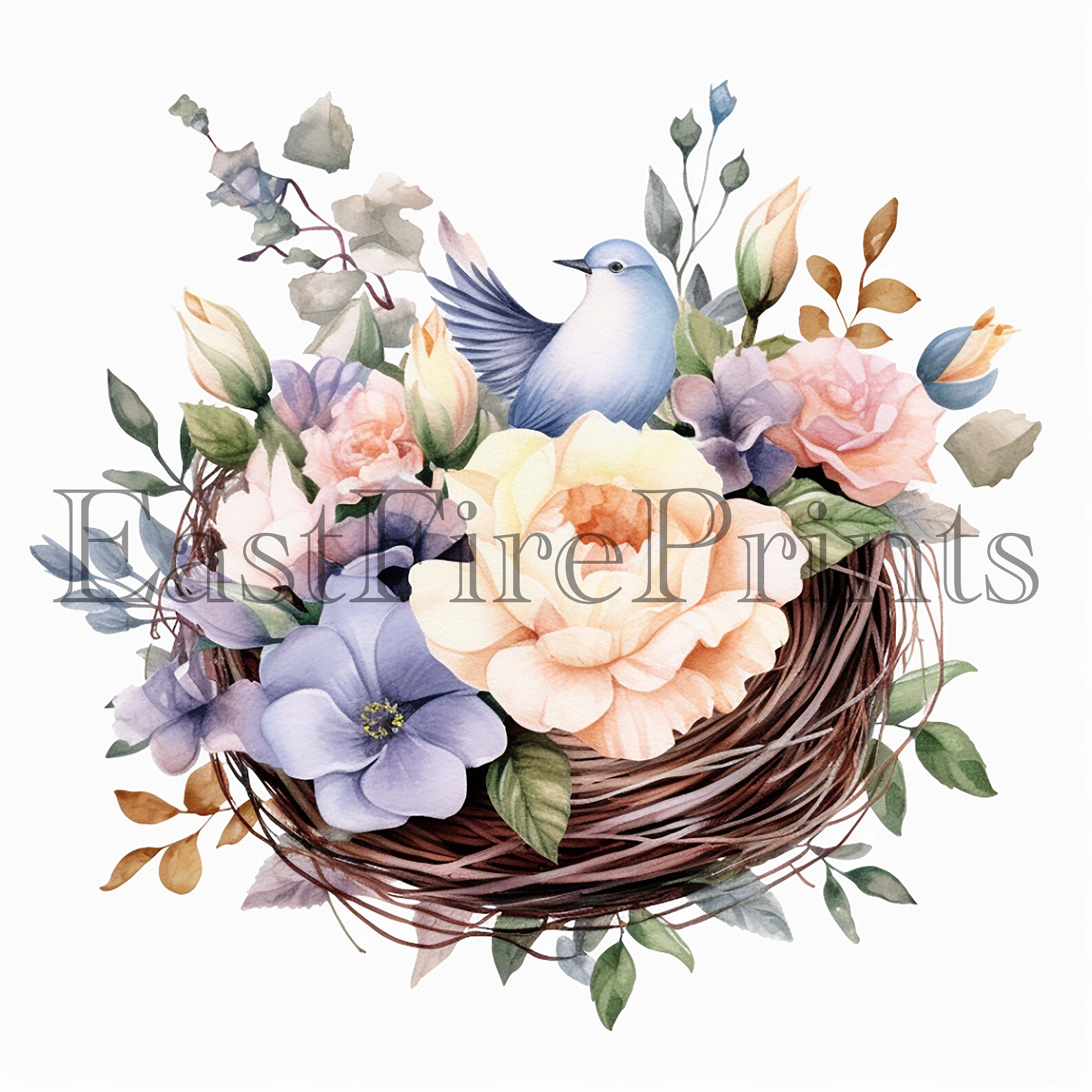 Watercolor Bird Nests Clipart PNG Bird Clip Art Springtime - Etsy