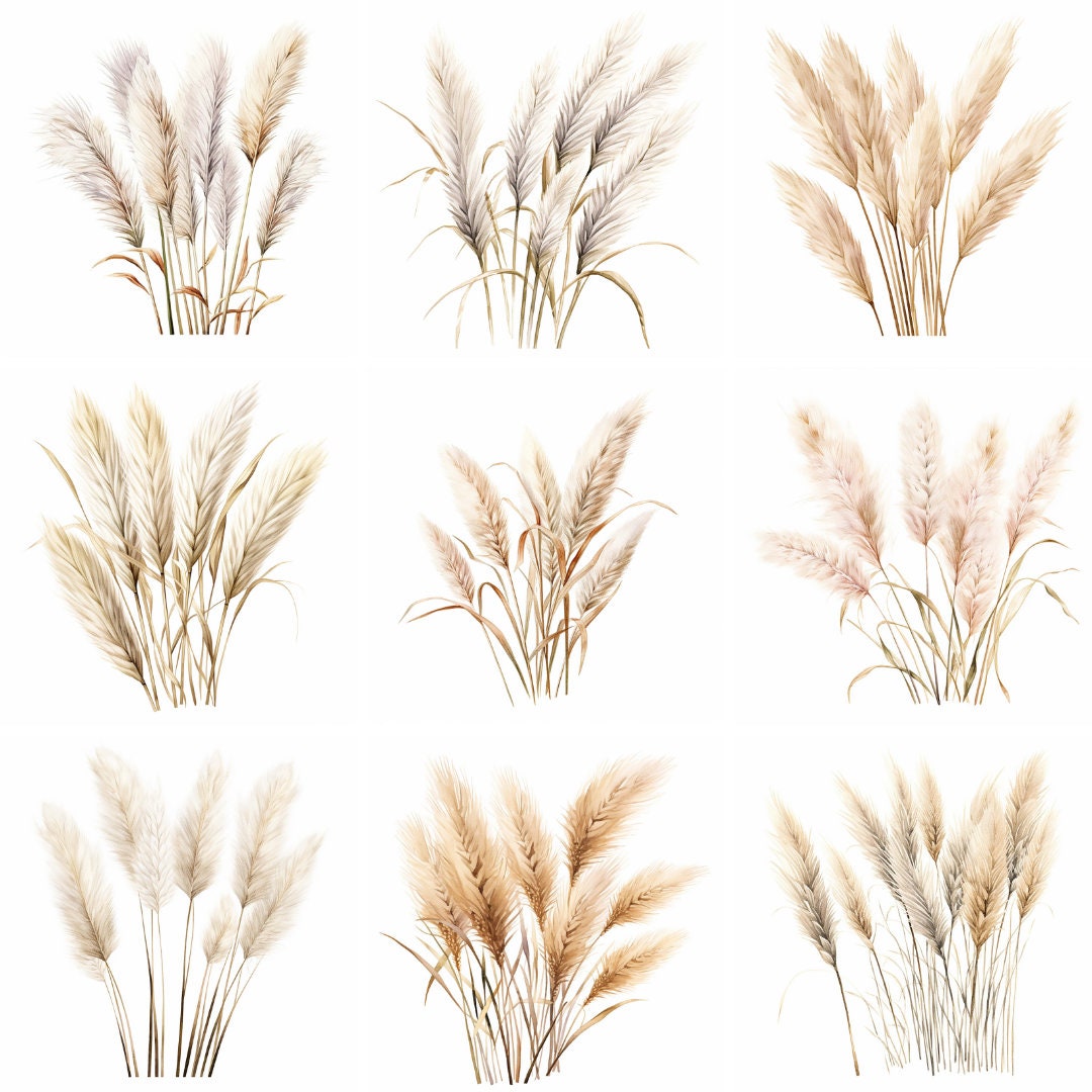 Watercolor Pampas Grass Clipart Watercolor Boho Clipart Grass - Etsy