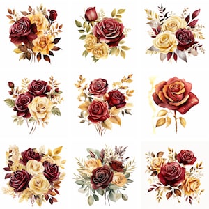 Watercolor Maroon and Gold Rose, High Quality Png, Red Rose, Flower ...