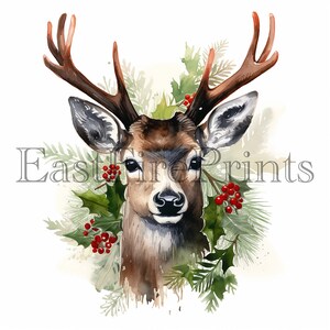 Watercolor Reindeer Clipart PNG Files, Christmas Deer Clip Art , Winter ...