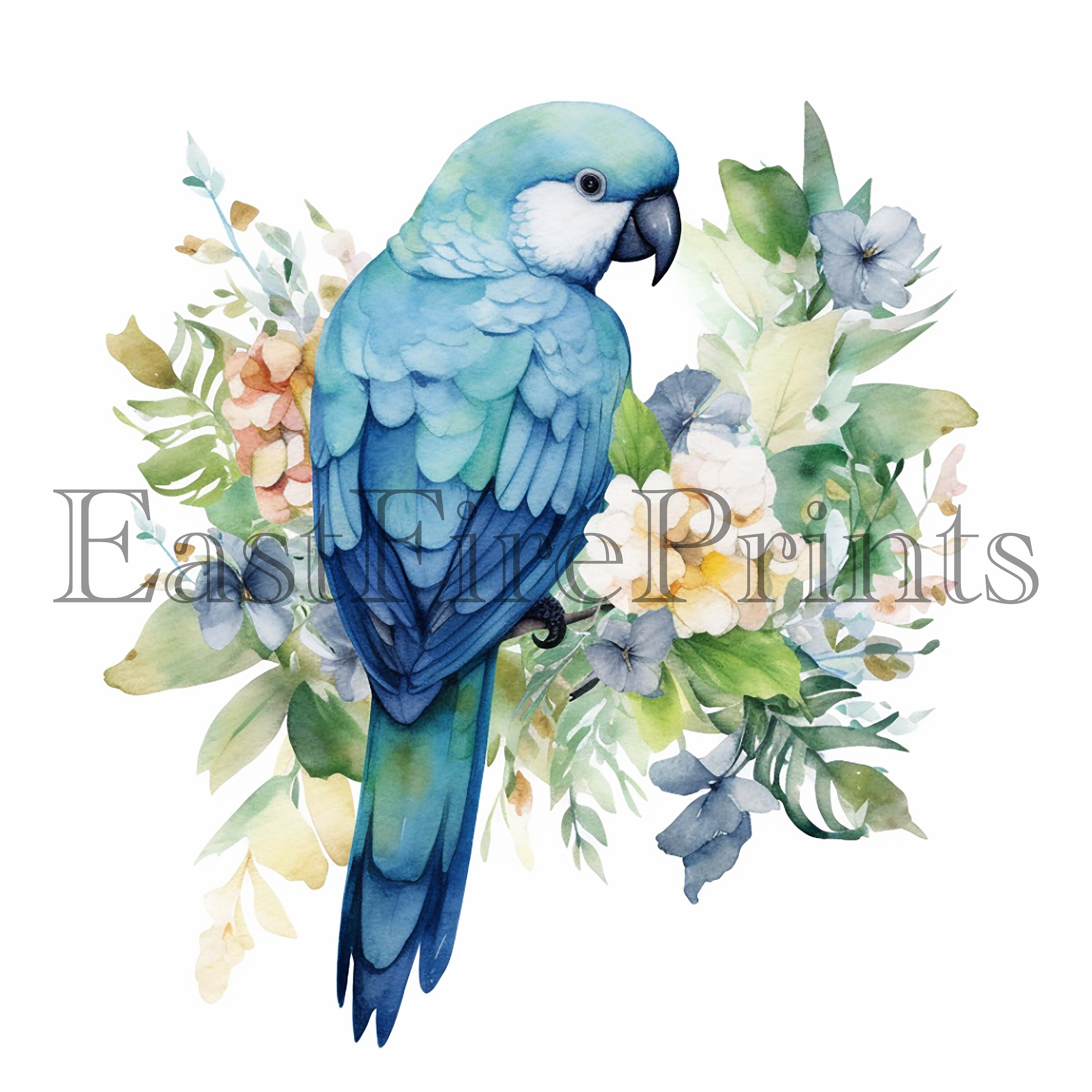Watercolor Parrot Clipart PNG Tropical Birds Clip Art With - Etsy