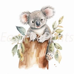 20 Watercolor Koala Bear Clipart Set - Cute Koala PNG - Koala PNG ...