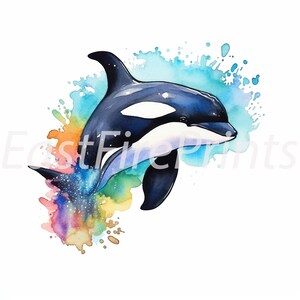 20 Watercolor Orca Clipart Set Orca Clipart PNG Cute Whale Clipart ...