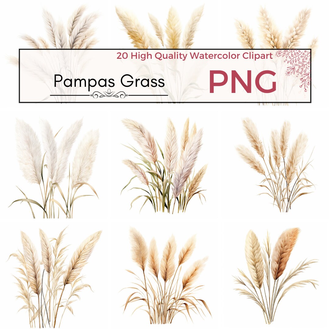 Pampas Grass Clipart, High Quality Png Boho Clip Art Spring Grass Png ...