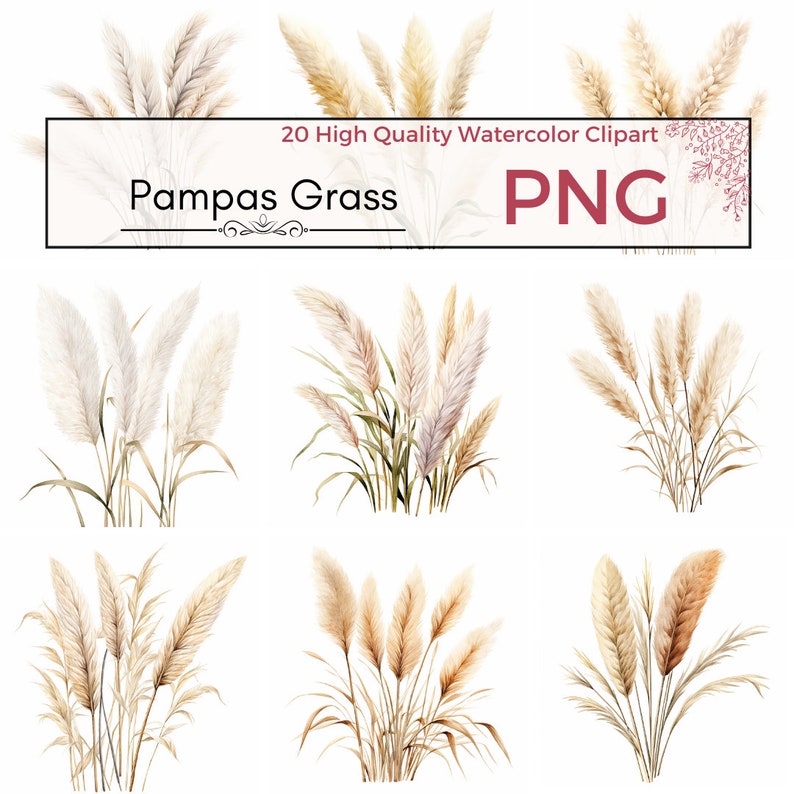 Pampas Grass Clipart High Quality Png Boho Clip Art Spring - Etsy