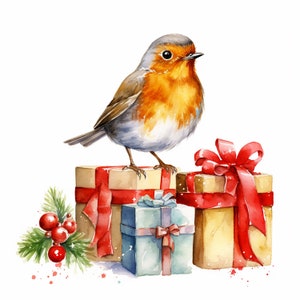 Watercolor Christmas Robin Clipart, High Quality JPG, Christmas Clipart ...