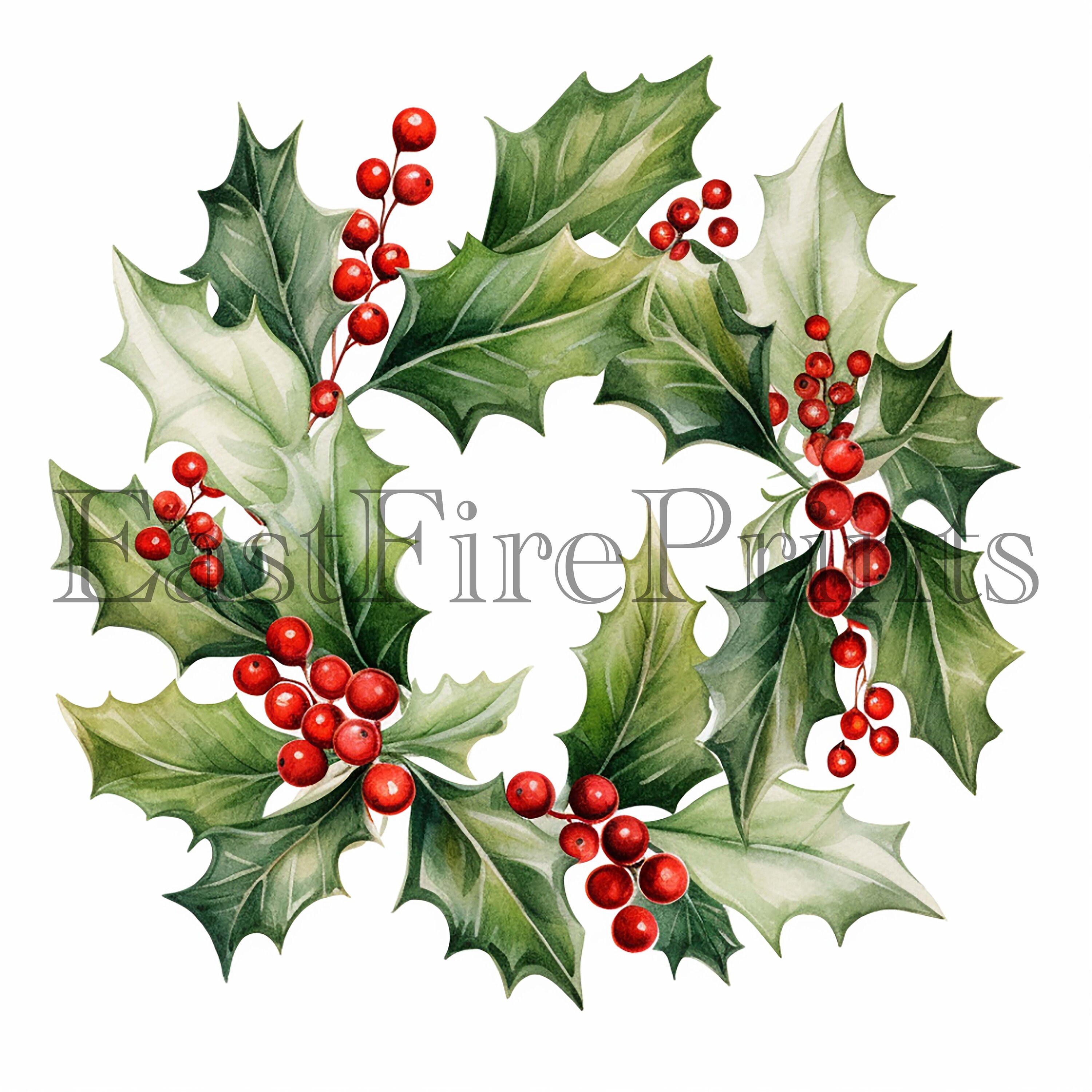 Watercolor Holly Mistletoe Clipart PNG Winter Botanical Clip - Etsy