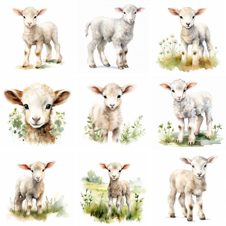 20 Baby Lamb Watercolor Clipart High Quality Png Cute Farm - Etsy