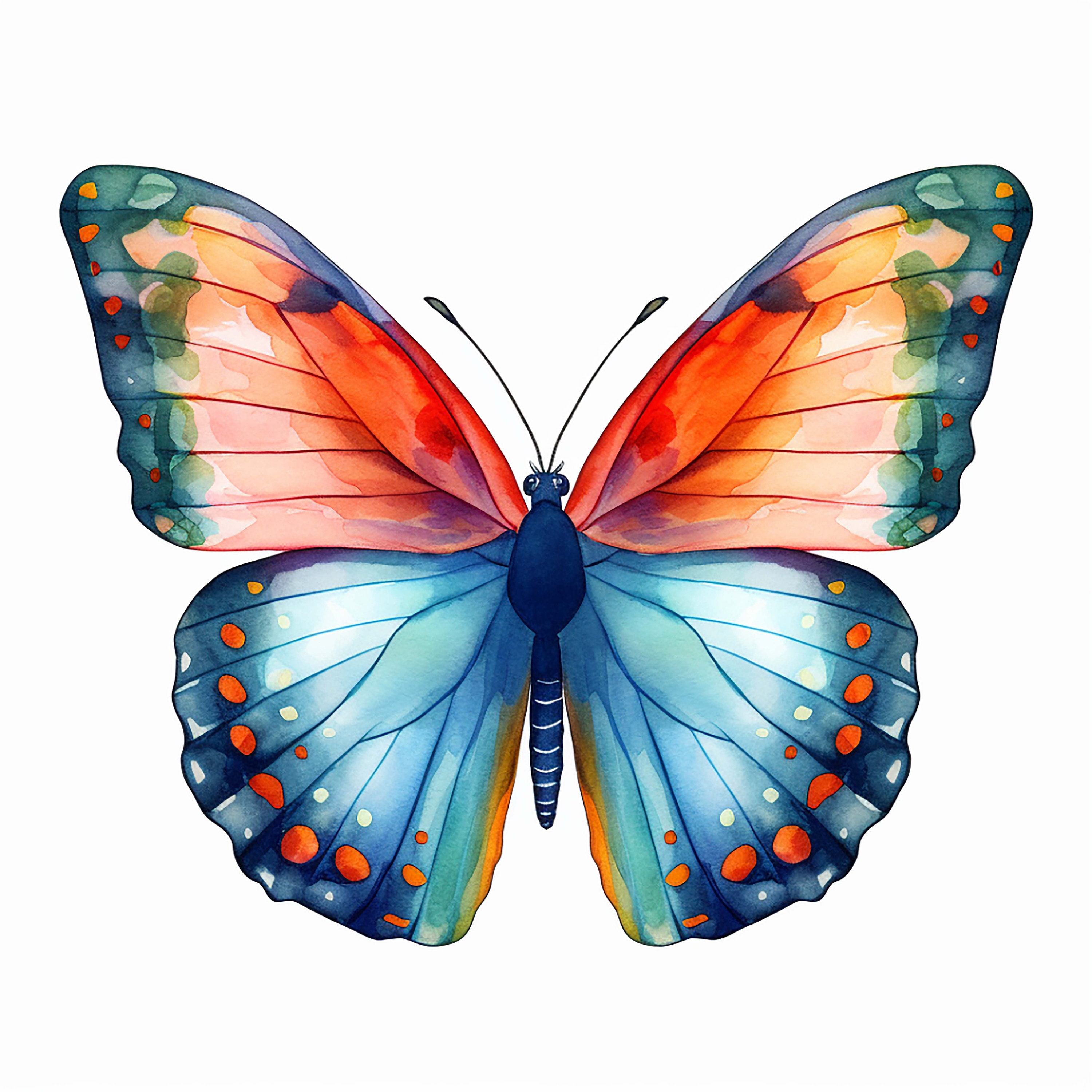 Butterfly Clipart High Quality Png Butterflies Printables - Etsy