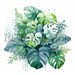 20 Watercolor Monstera Clipart Set - Tropical Leaf PNG - Digital ...