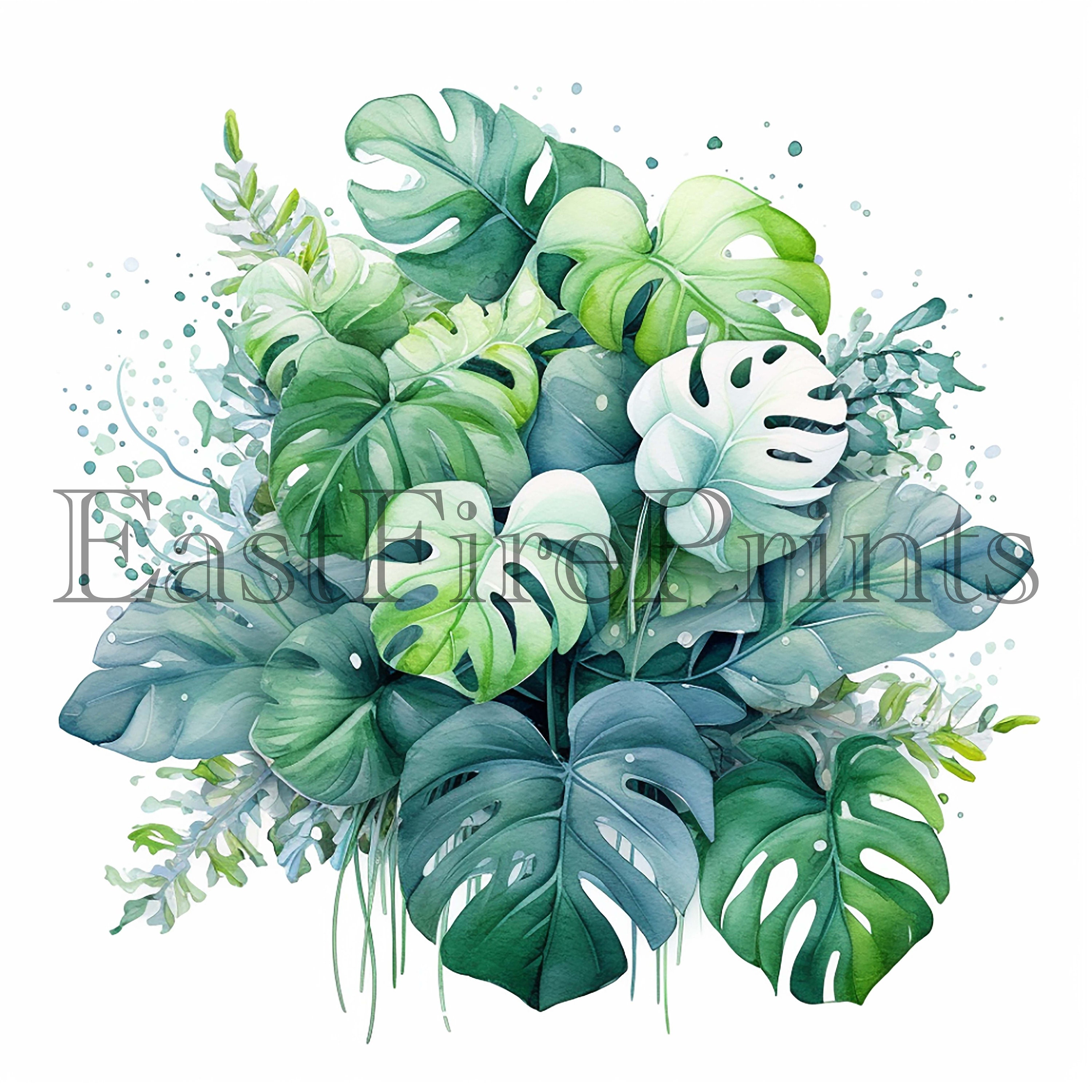 20 Watercolor Monstera Clipart Set Tropical Leaf PNG - Etsy