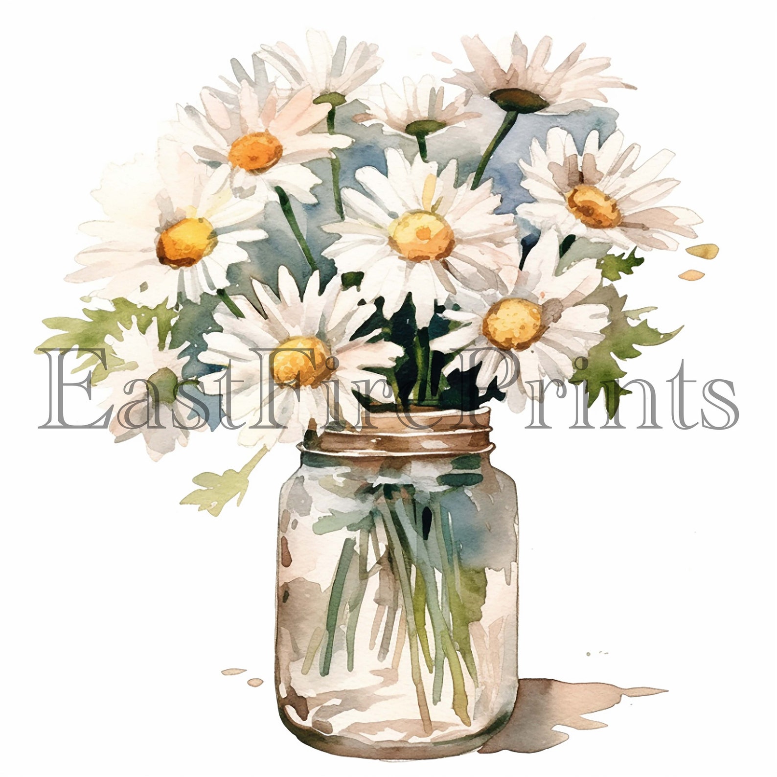 Watercolor Daisies Clipart PNG, Spring Floral Clip Art, Flowers and ...
