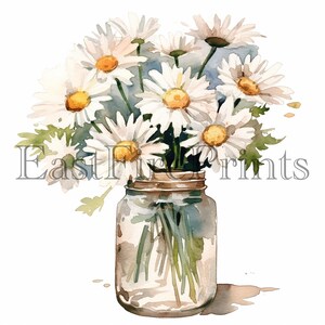 Watercolor Daisies Clipart PNG, Spring Floral Clip Art, Flowers and ...