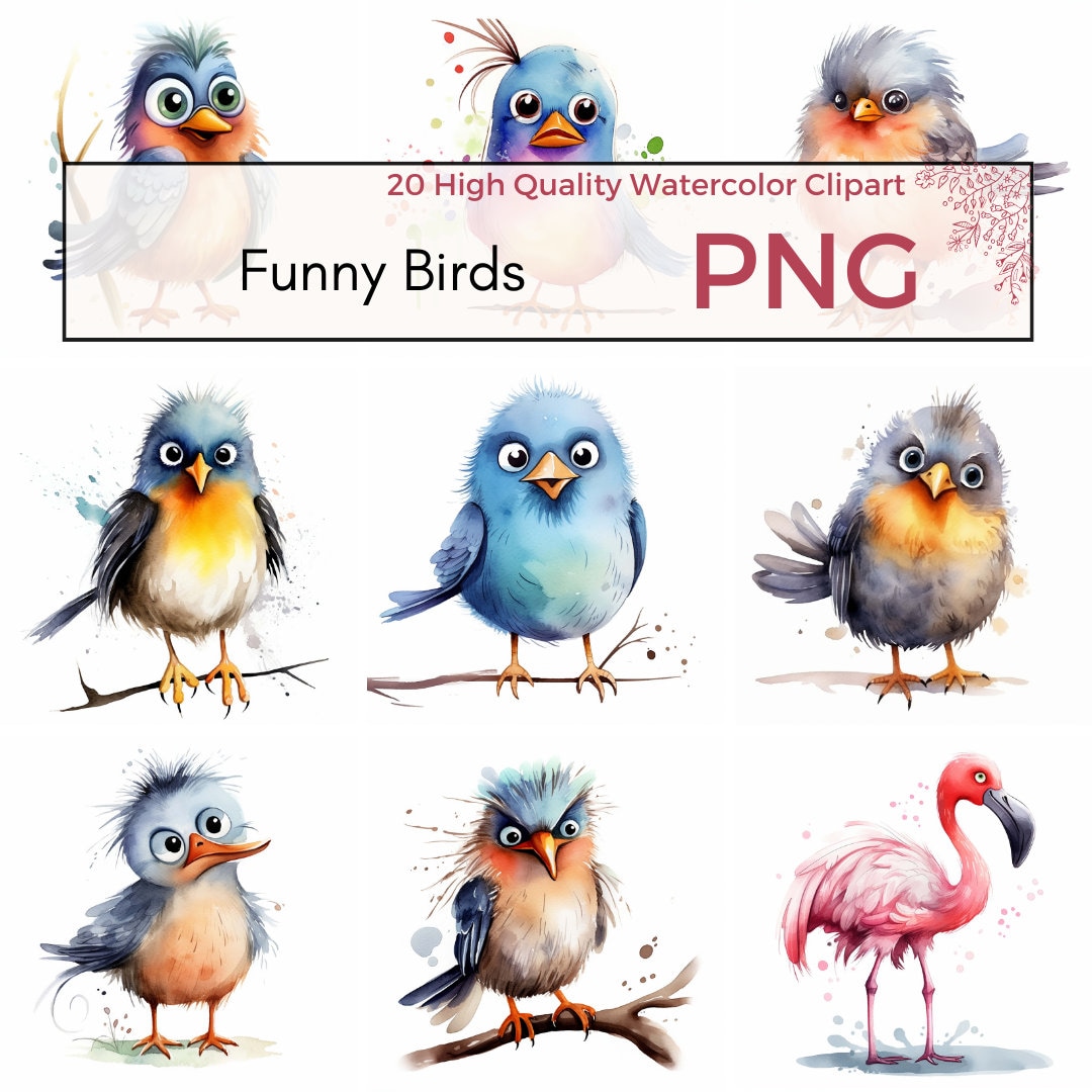 Funny Birds Clipart, High Quality PNG, Cute Nursery Clipart, Birds PNG ...